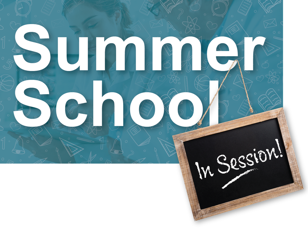 Technopath Summer School Series of Webinars